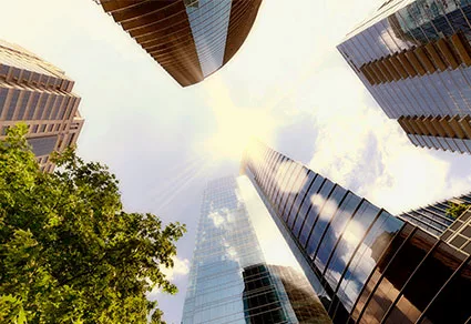 Bachelor of Social Science: Explore Social Sciences